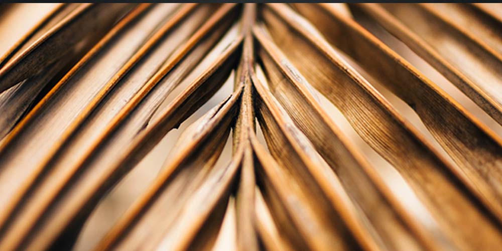 Inflation vs. Recession vs. Investing Common Sense - Dividend Cafe - July 8